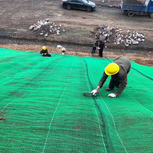 Geonet from China, Geonet Manufacturer & Supplier - Lianyi Group